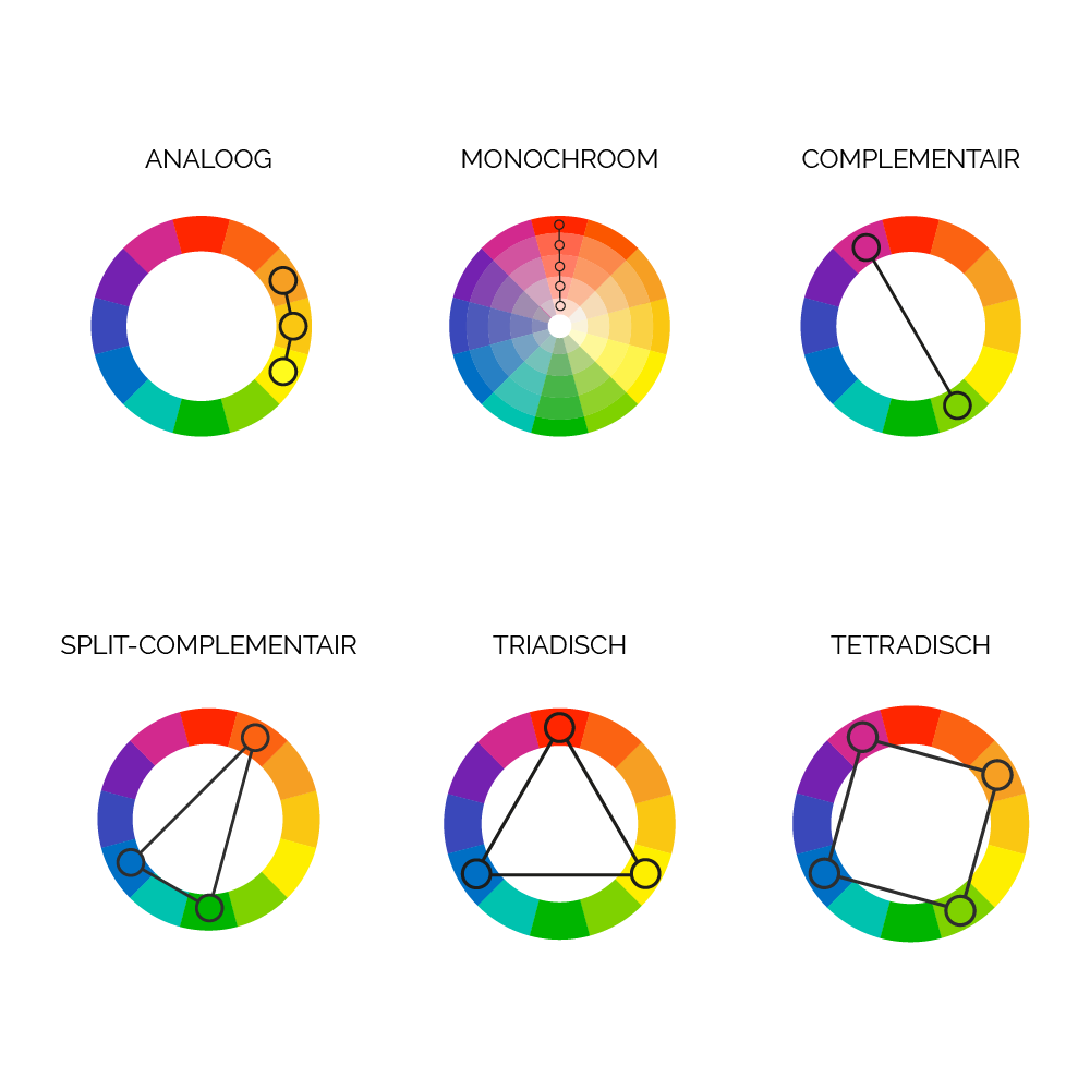 Hoe kies je de juiste kleuren voor je ontwerp? - Birdie Design